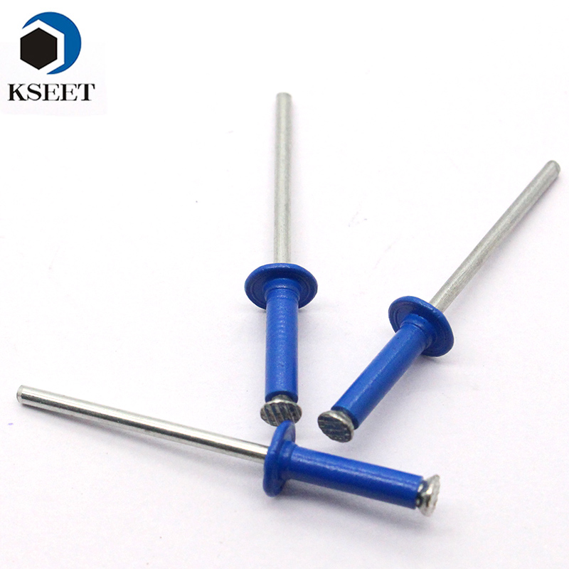 color custom peel type Blind Rivet - Rivet manufacturer-rivet factory